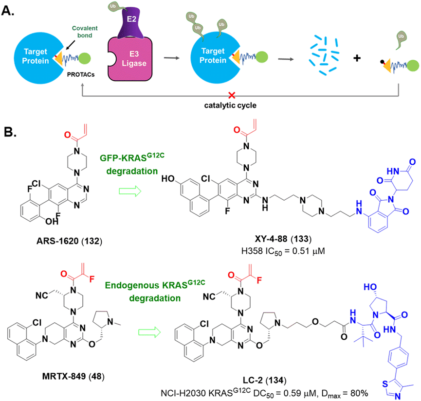 IF=60.6！饶燏团队综述：PROTACs构效关系优化之路_药物_设计的_蛋白质