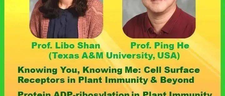 MPlant国际讲座 | Ping He and Libo Shan，2022年9月8日_to_合作_they