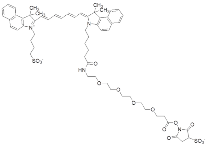 吲哚菁绿（ICG）一种近红外I区荧光染料_组织_肿瘤_nm