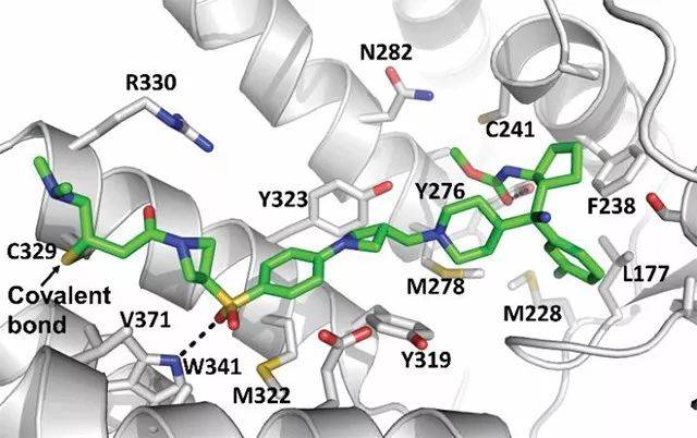 M525-针对混合谱系白血病（MLL）的新型抑制剂-MCE_menin_蛋白_基因