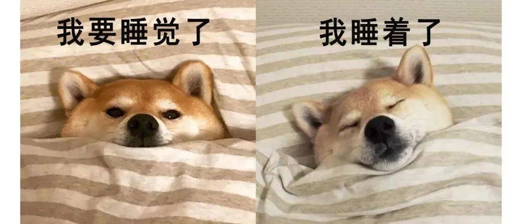 48秒就睡着,“秒睡”居然是一种病睡眠姜姜基因