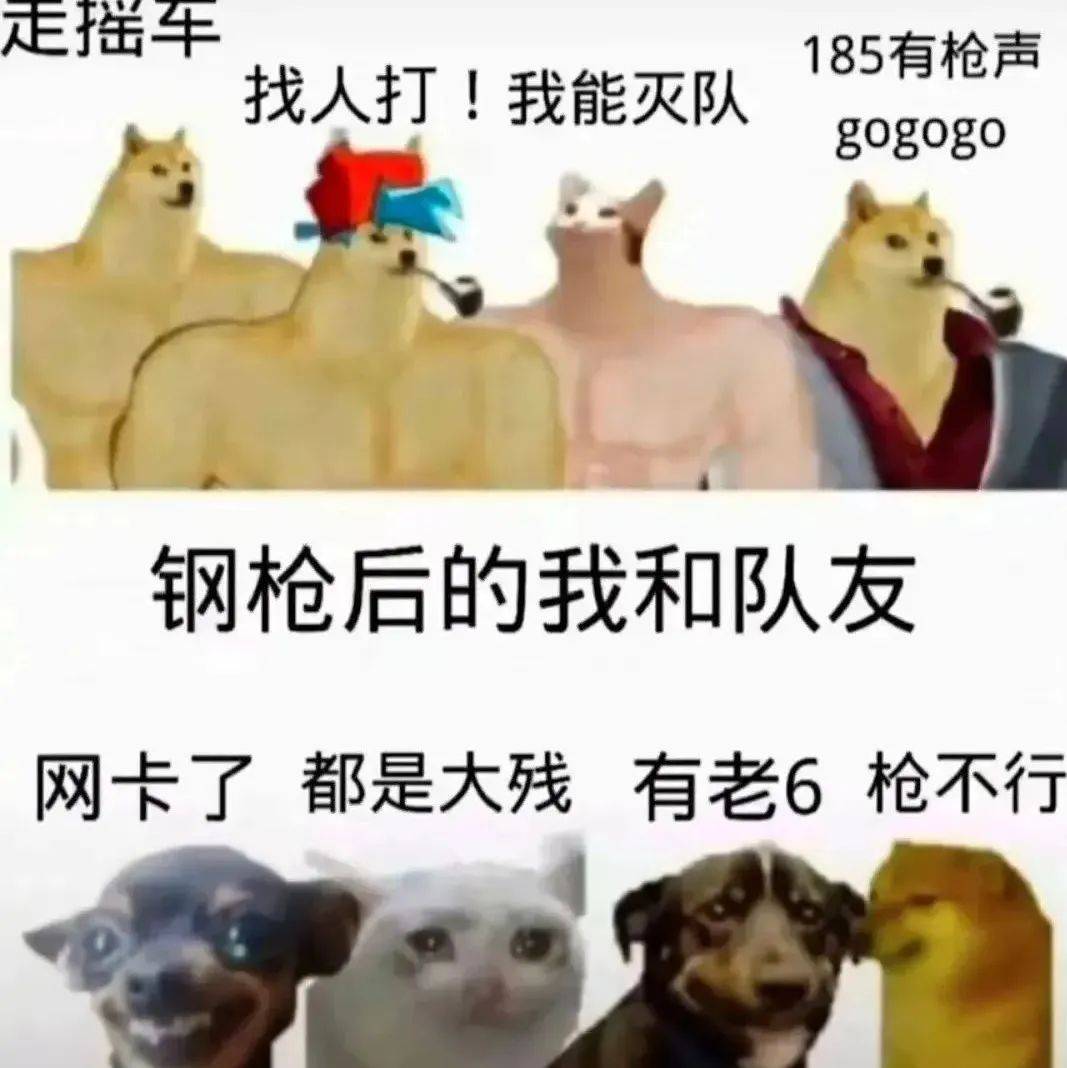 今日份沙雕图悲喜真会网络