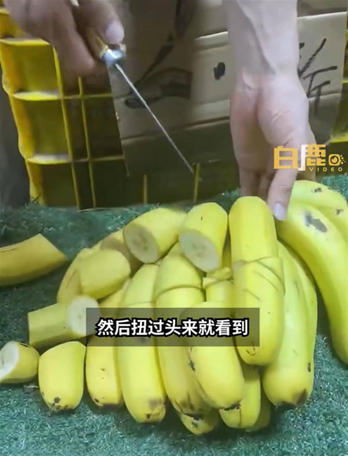 男孩割坏店内香蕉妈妈全部买下并致歉,这才是家教该有的样子 孩子 家长 管教