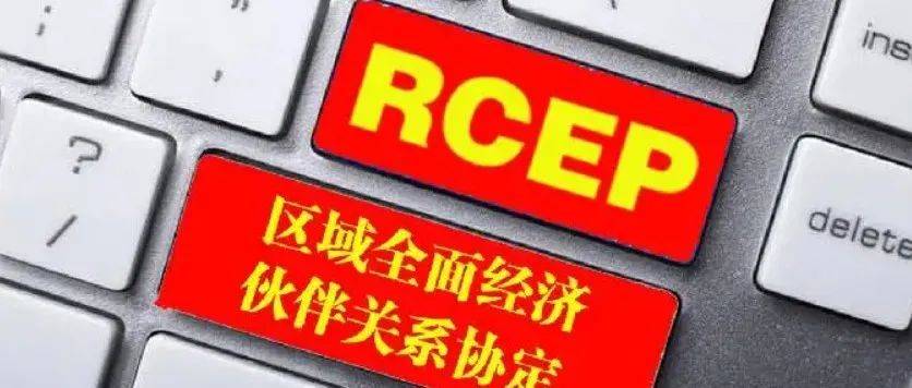 生效8个月了！成员国眼中的RCEP红利几多？_东盟_中国_的贸易