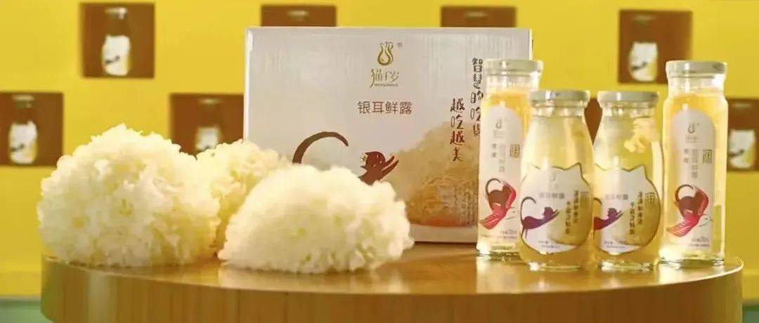 【人民网关注】网红饮品猫千岁银耳鲜露在第19届中国—东盟博览会上备受关注广西产品乡村