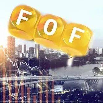 FOF不再"慢涨慢跌"，热门赛道"惹的祸"？年内跌幅最高22%…_投资_产品_基金