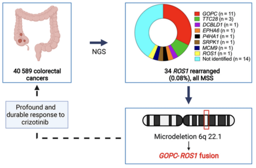 不抛弃不放弃！RAS/BRAF野生型、MSS结直肠癌更易检出ROS1融合，有靶药！_基因_样本_患者