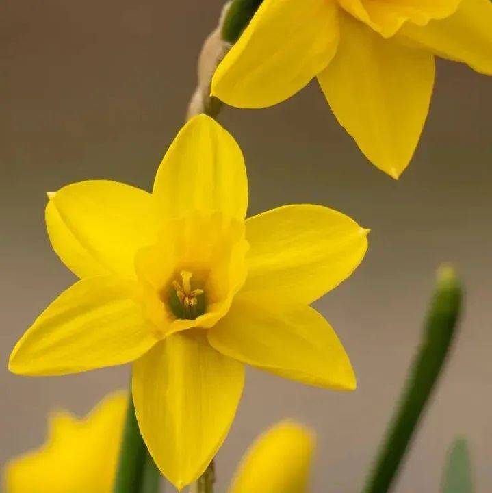 天下第一大补：睡觉（看完恍然大悟！）_晚餐_阳气_胆气