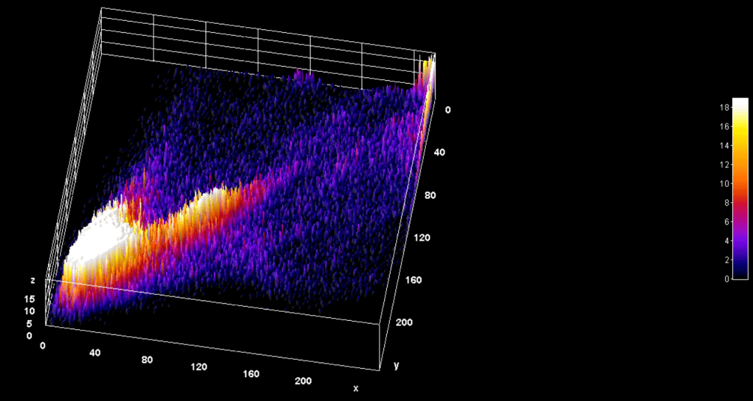 重磅干货！老司机带你解锁荧光共定位分析......_图像_ImageJ_ScatterJ