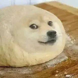 光知道用【Doge】表情，你知道Doge是什么狗么？_柴犬_com_Kabosu
