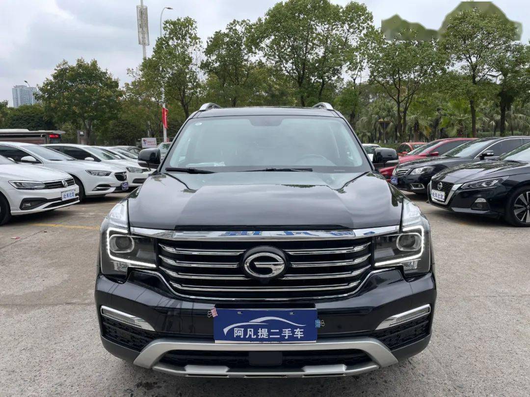 【新到精品车源：】19年 传奇GS8 390T 两驱豪华智联版 7座_搜狐汽车_搜狐网