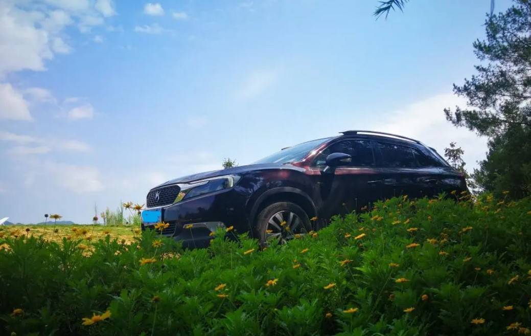 DS6烧机油了，采用无损修复烧机油方式解决烧机油困扰_搜狐汽车_搜狐网