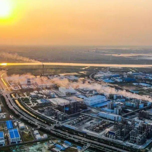 重磅：长鸿高科甘肃拟建60万吨BDO、30万吨PBAT！_项目_投资协议_公司