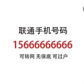 1366万起拍无人出价，靓号15666666666流拍_靓号15666666666因无人出价流拍_阿里_手机
