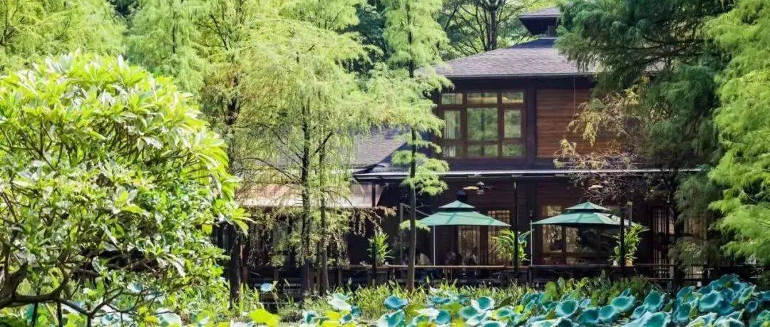 最文艺广州丨在秋日邂逅城市中的 森林小屋”湾区书屋公园