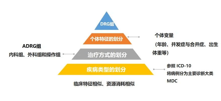 收藏！超全的DRG入门培训知识，都在这儿啦！_病例_服务_消耗