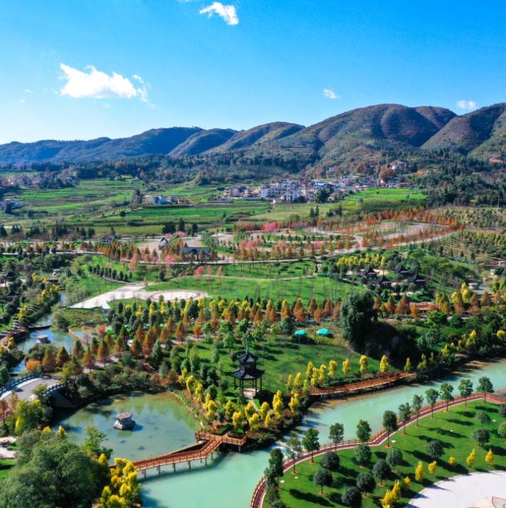 弥勒获奖补100万元！将用于村庄..._规划_建设_发展