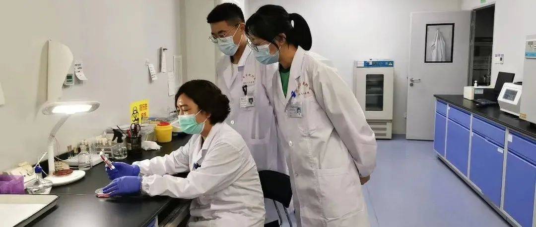 医”心向党 踔厉奋进 以热血丹心演绎检验事业 以满腔热忱缔结医患同心——记河附院首席专家谢淑兰临床工作血液