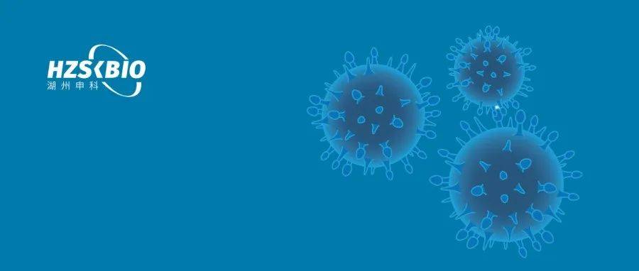 基因治疗产品复制型腺相关病毒（rcAAV）的风险控制_检测_基因组_方法
