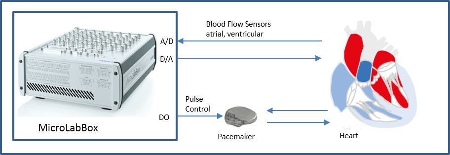 dSPACE MicroLabBox_控制_工作_進行