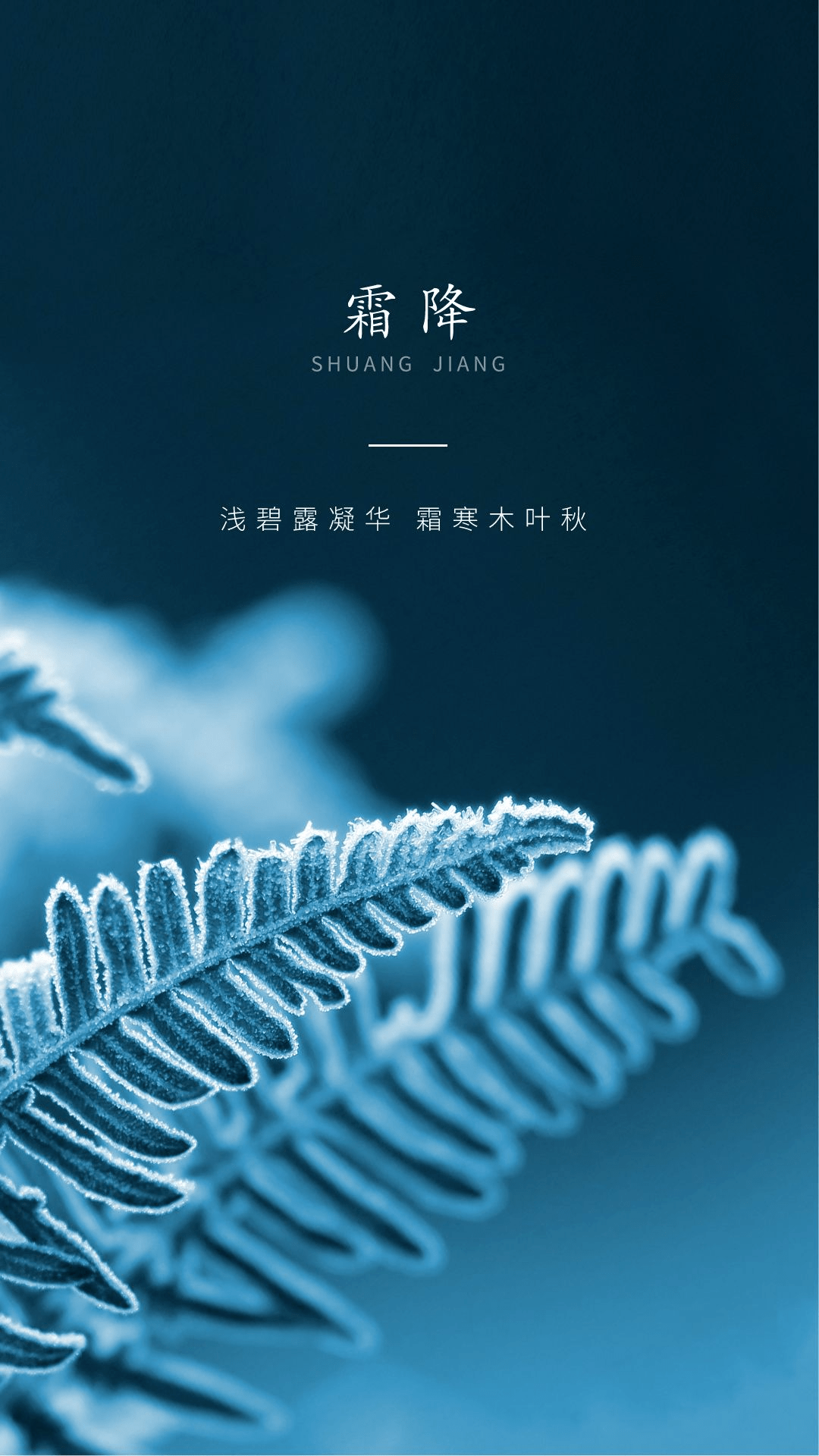 霜降早安 和秋天告别 朋友圈精选热门文案图片合集问候祝福好运