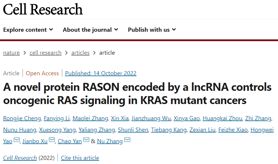 Cell Res | 非编码RNA翻译成蛋白质？张弩/徐建波/姚宏伟/闫超发现KRAS致癌信号的关键调控因子_KrasG_癌症_致癌
