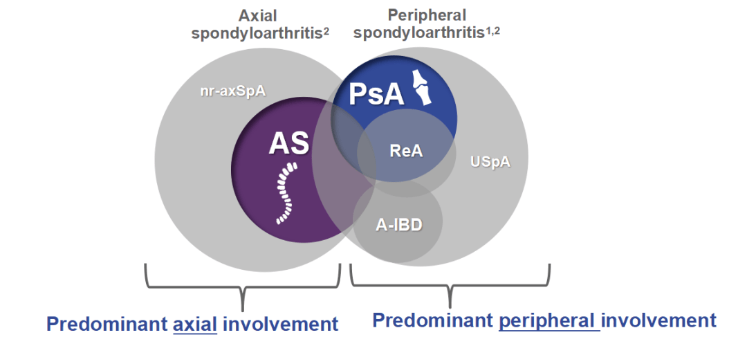SpA、axSpA、nr-axSpA和AS分别是什么？_诊断_关节炎_标准