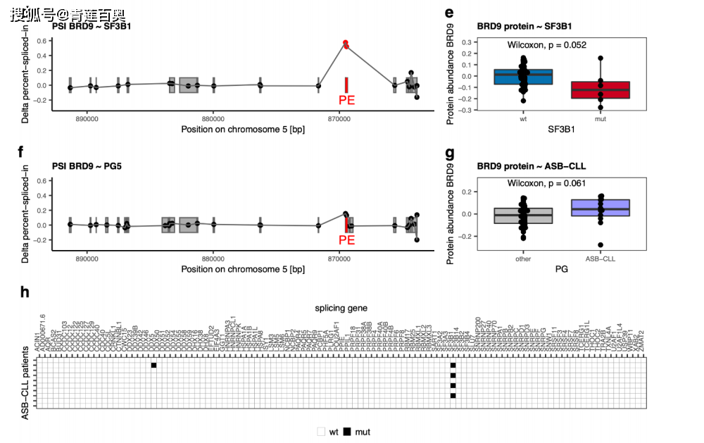 「青莲聚焦」蛋白质组学助力慢性淋巴细胞白血病分子分类_相关_分析_染色体