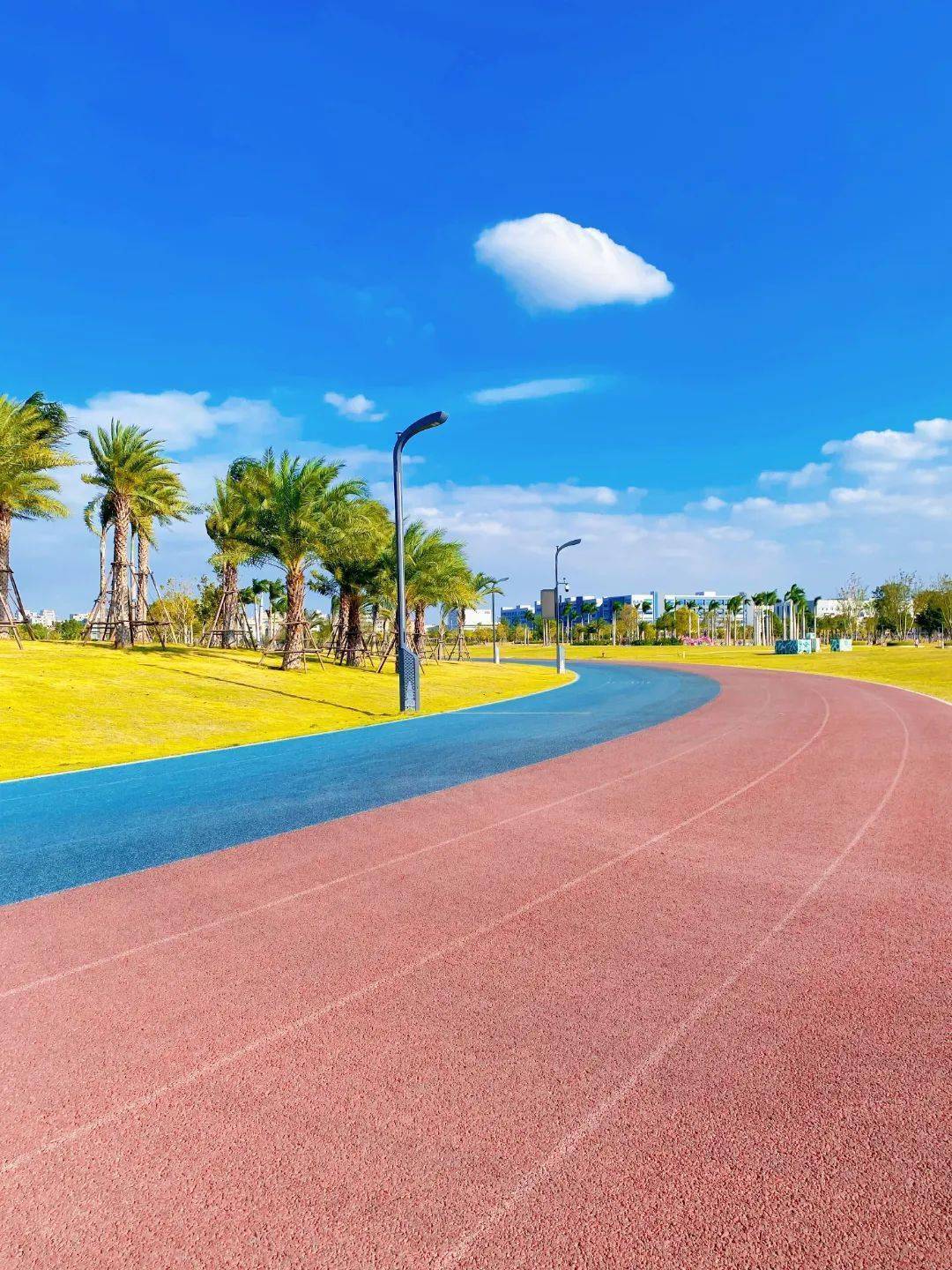 翔安下潭尾湿地公园，满眼皆是风景！_红树林_sdfd_栈道