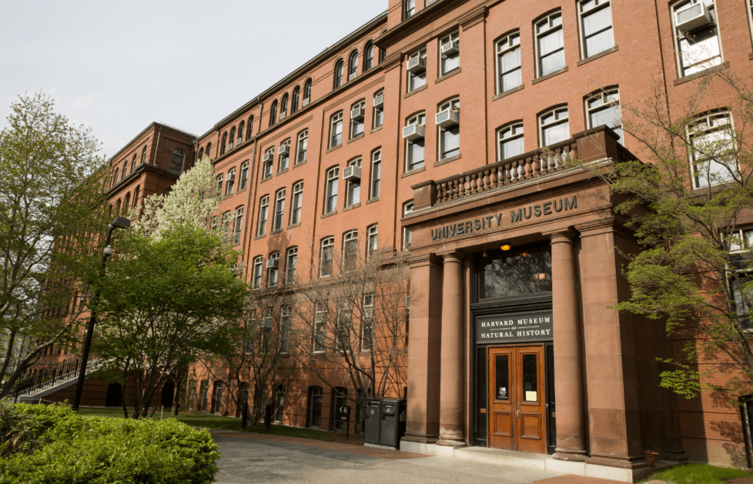 美国丨23fall美国大学面试要求汇总！_视频_校友_补充