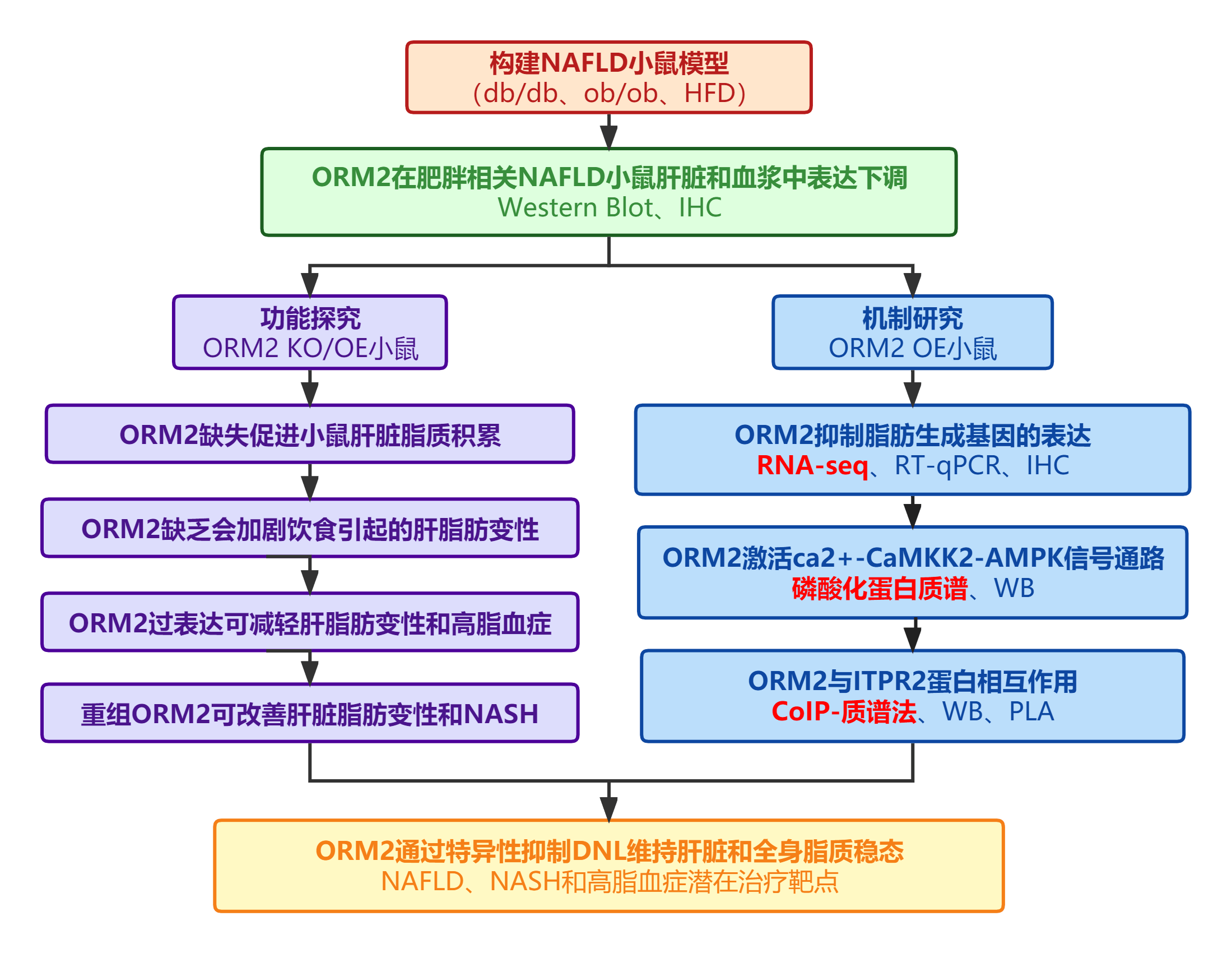 云序用户文章if19865，多组学分析助力非酒精性脂肪性肝病发病机制研究肝脏水平分析