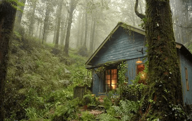 【名著选读】J.K.罗琳《哈利波特》_系列_图书_创作