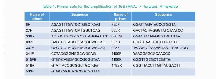 16s rRNA 分析_基因_进行_分类学