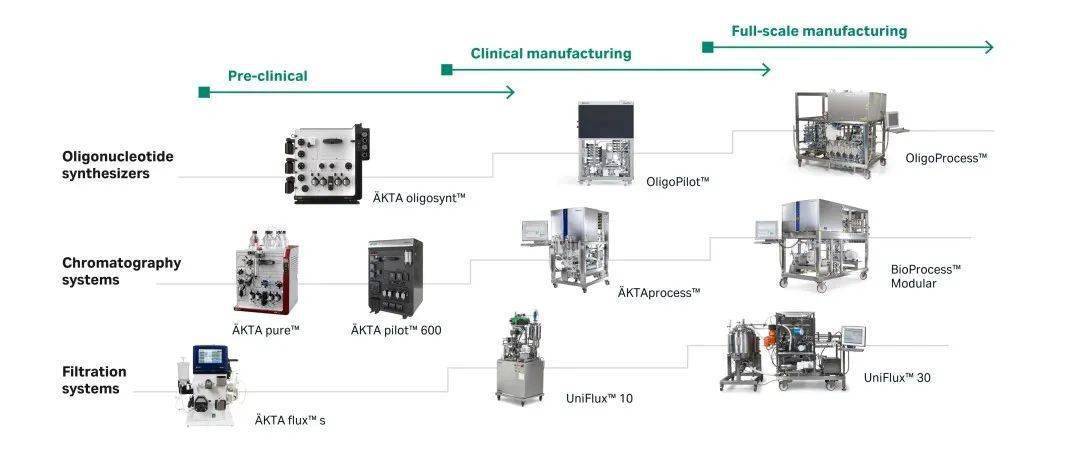纯化宝典：Source 15Q在寡核苷酸纯化中的应用_进行_样品_ml