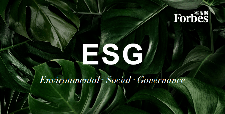 ESG专题 | 从理念到商业中的细节与秘密_评级_企业_机构