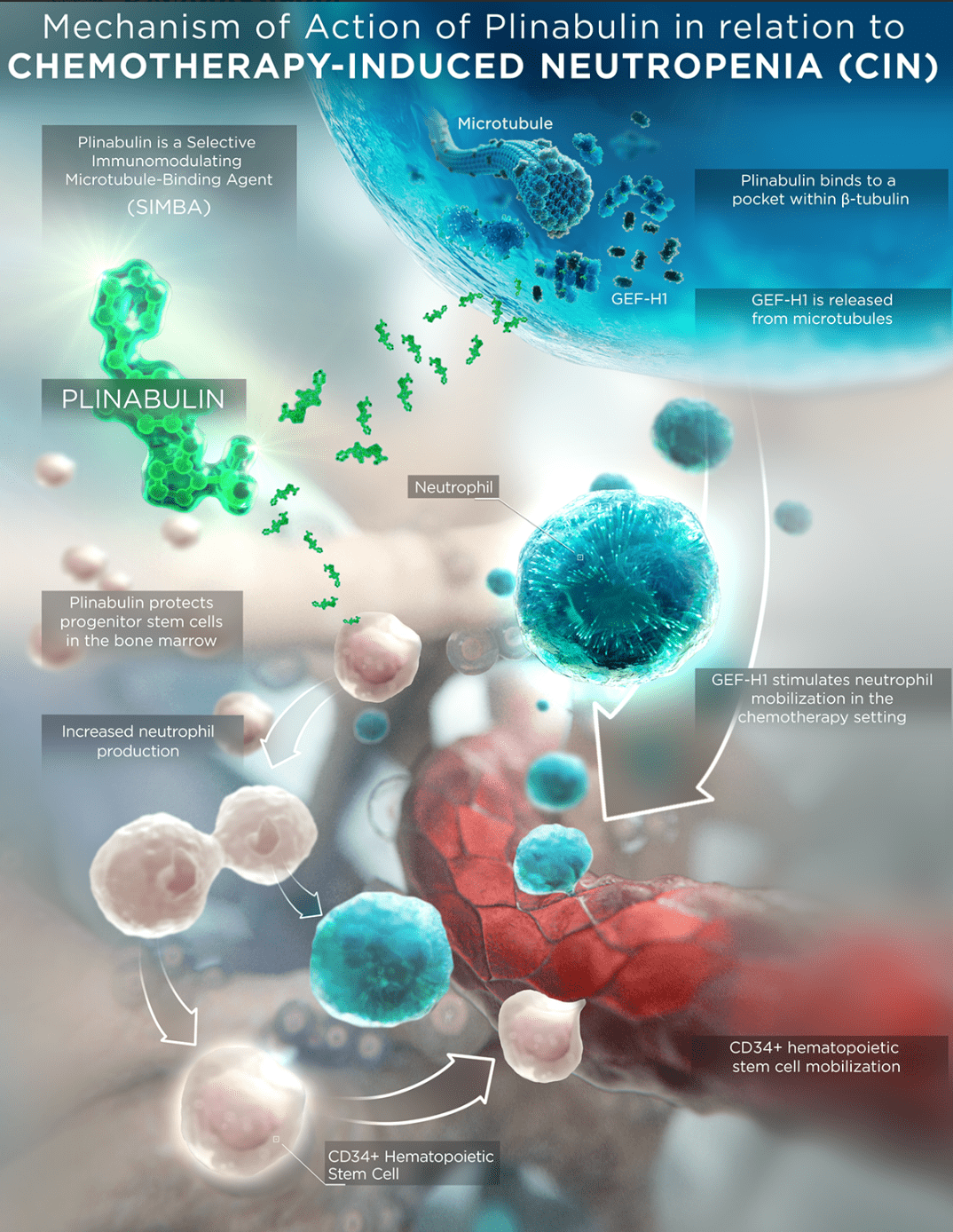 普那布林余震——万春医药受退市警告，美国还是出海好选择吗？_治疗_药物_细胞