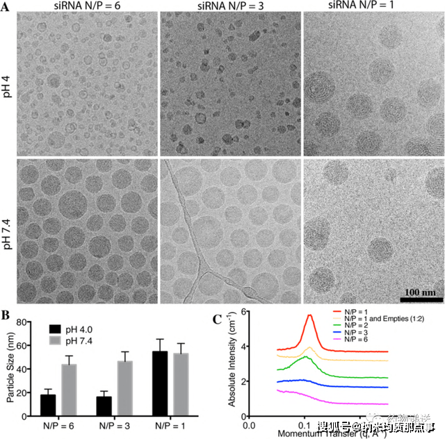 脂质体和脂质纳米粒的差别及其形成机制_siRNA-LNP_结构_核酸
