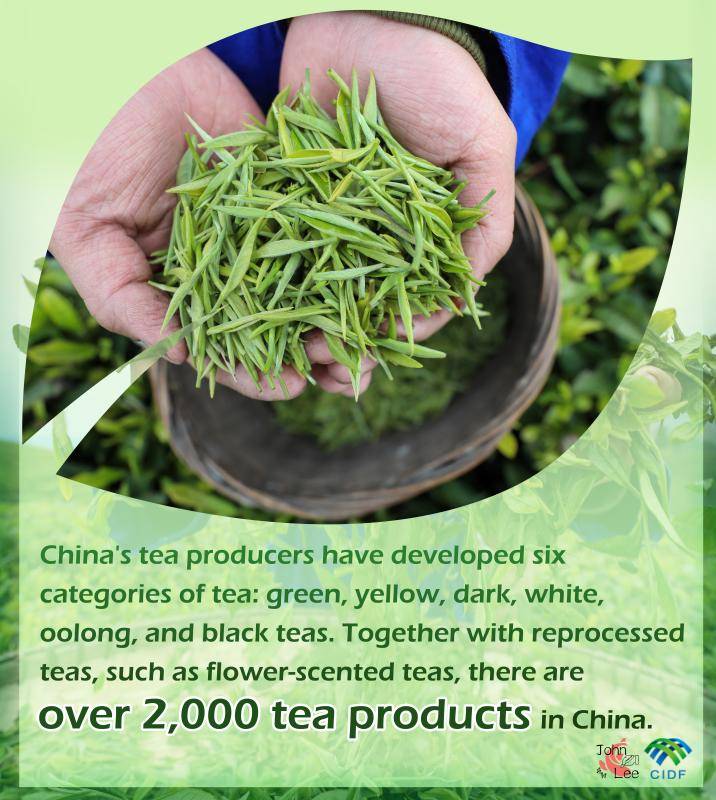 In numbers: China's tea industry at a glance_熊江睿_新闻网_三审