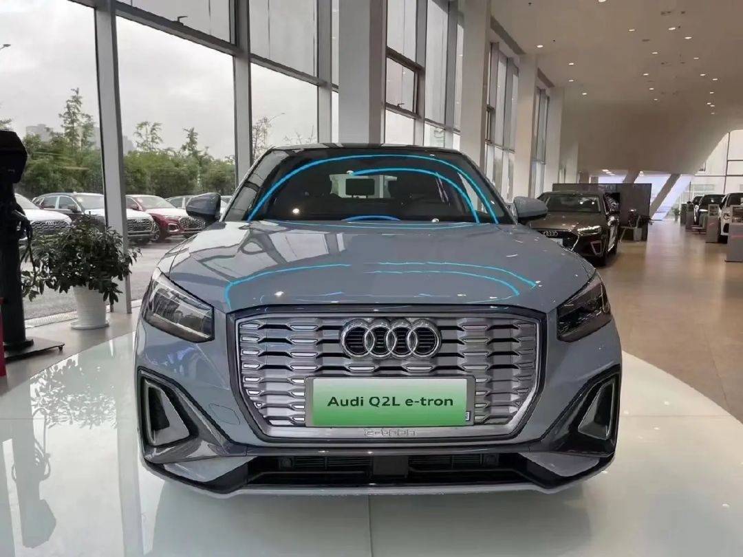 详解奥迪Q2L e-tron，高颜值，空间宽敞，值得入手吗_搜狐汽车_搜狐网