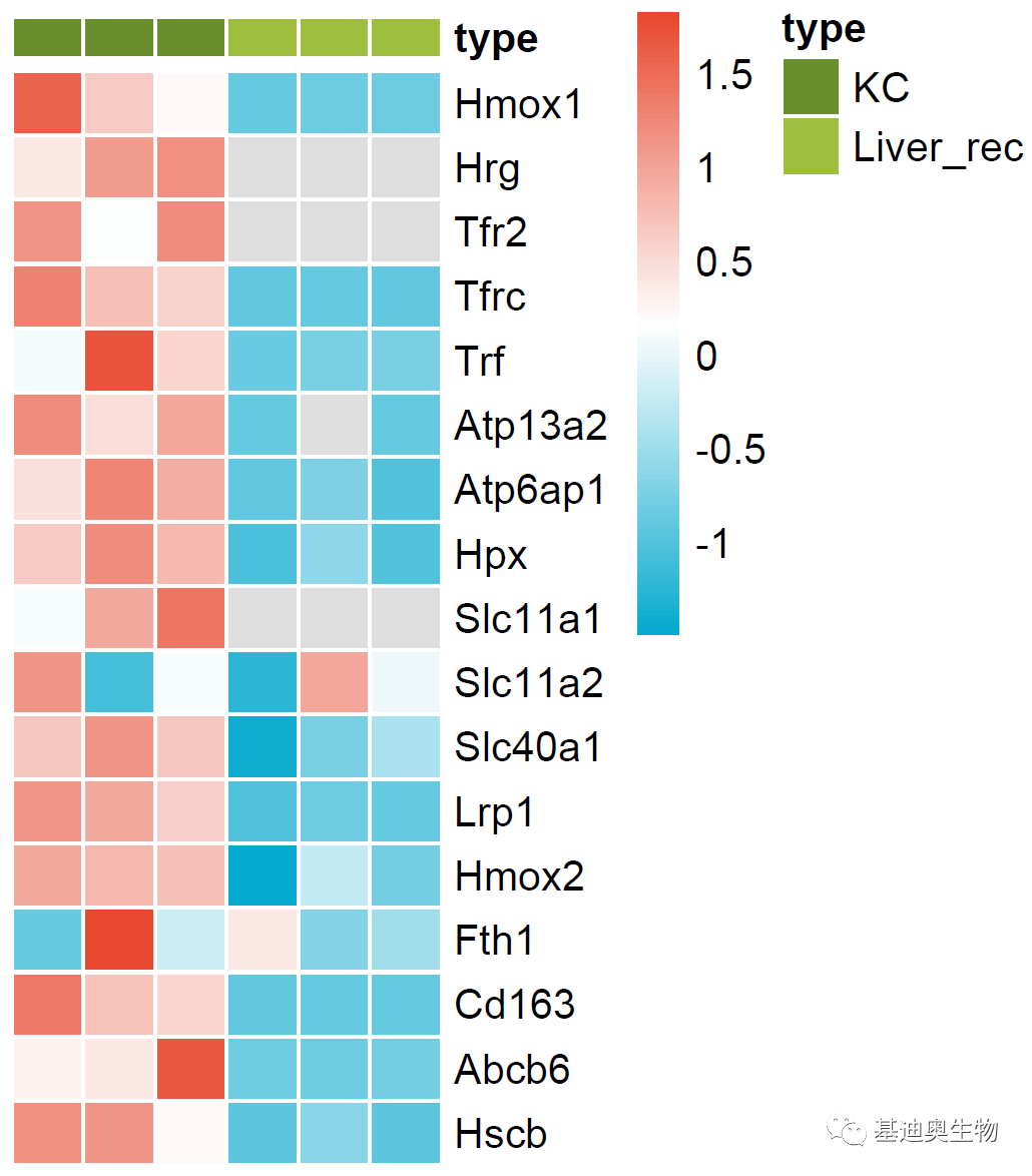 炫一个热图+差异气泡（log2FC+Pvalue）组合图表！_dt