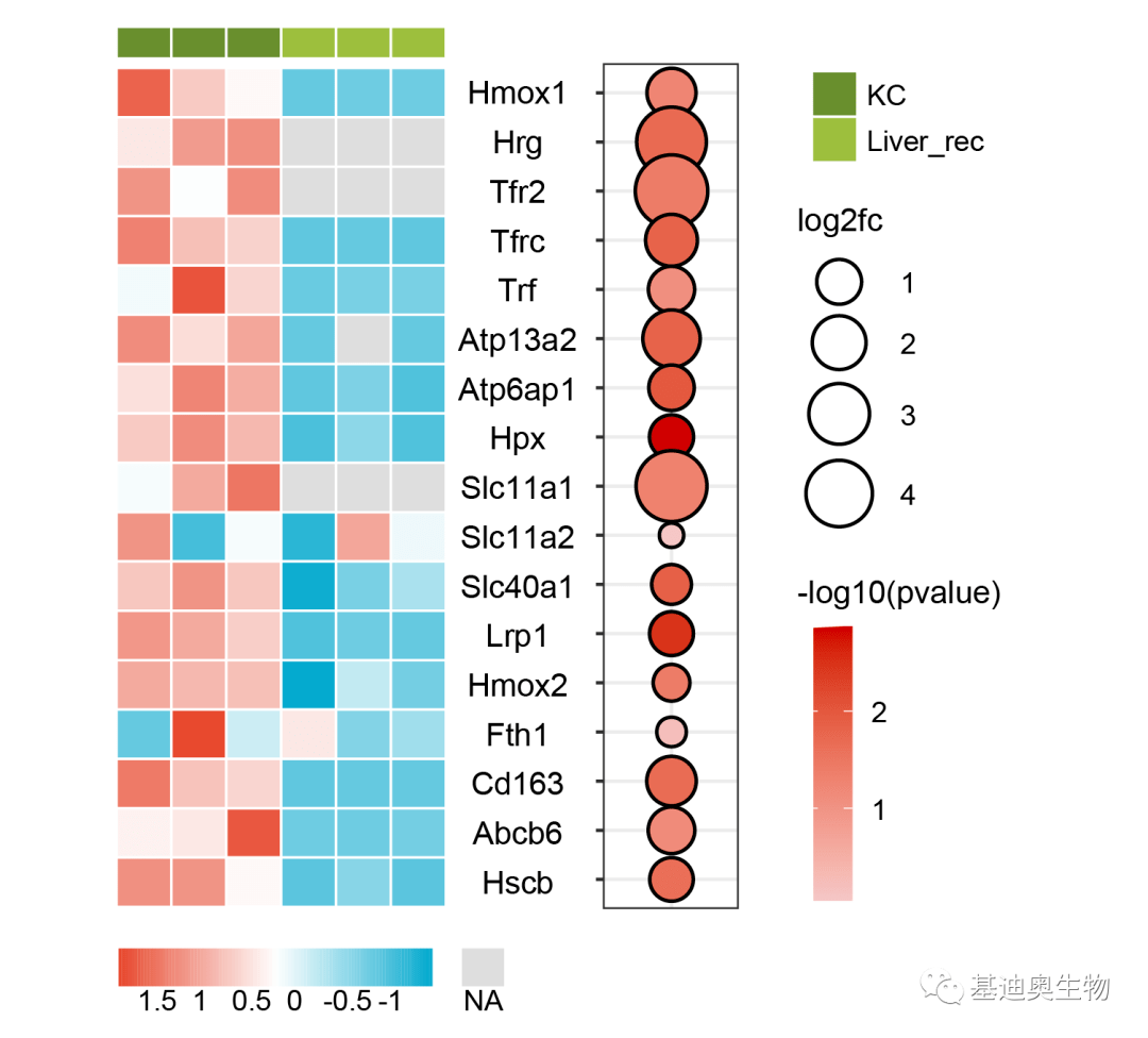 炫一个热图+差异气泡（log2FC+Pvalue）组合图表！_dt