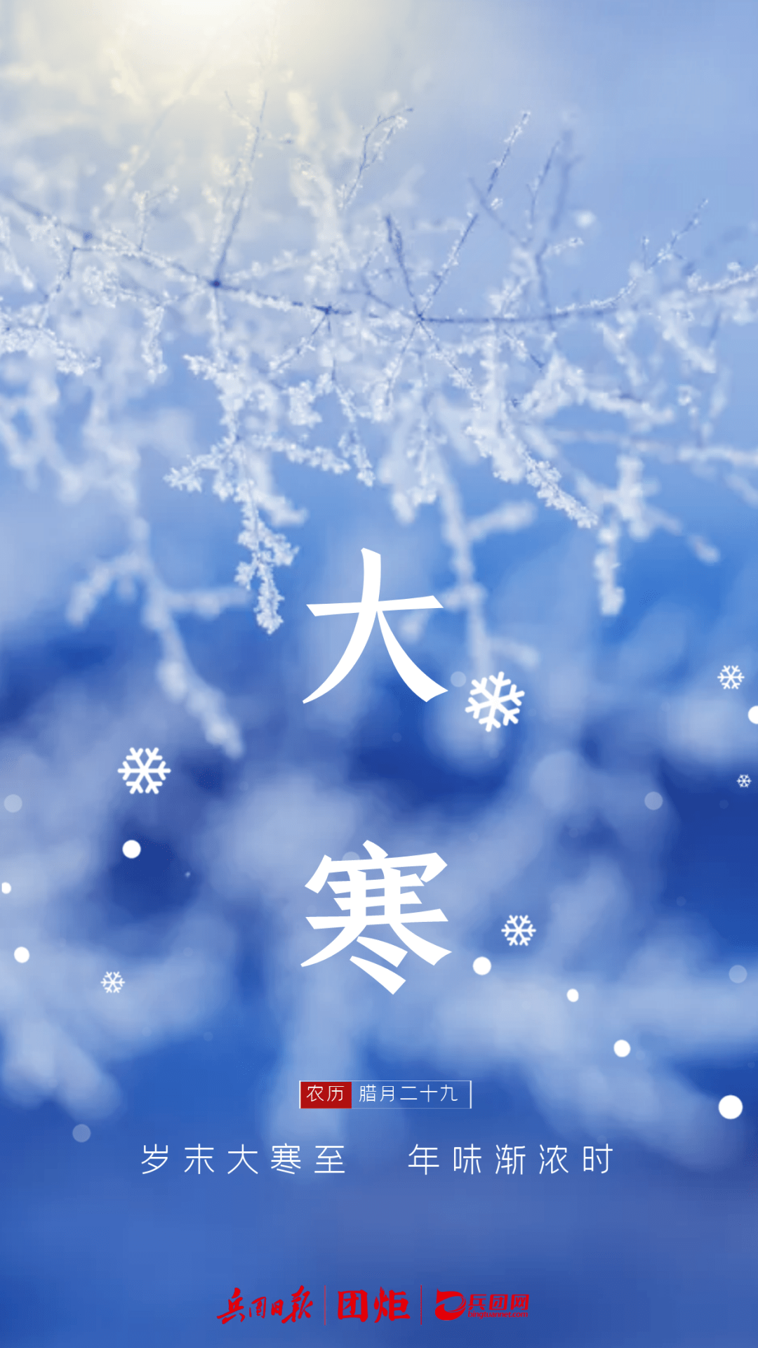 今日大寒 岁末大寒至 年味渐浓时活动寒意节气