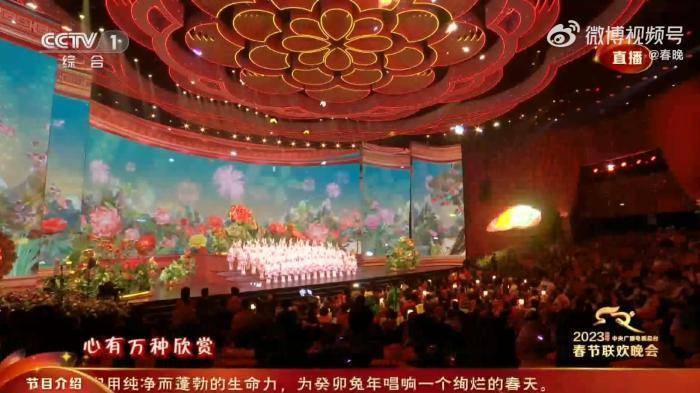 这届春晚算是把谐音梗玩6了!你最喜欢的梗是哪个?截图沈腾马丽