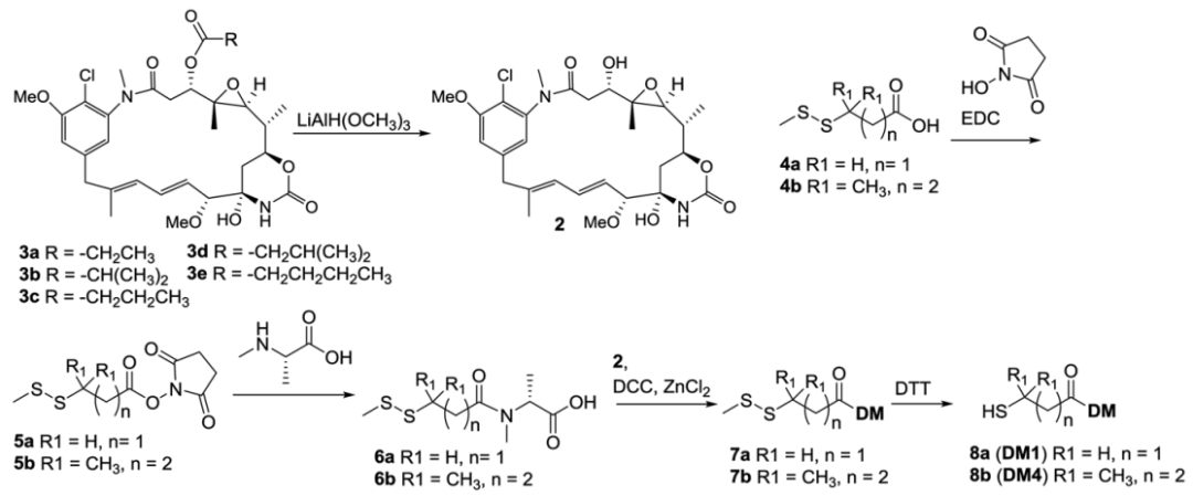 盘点ADC有效载荷背后的故事：美登素类化合物_合成_细胞_化学反应