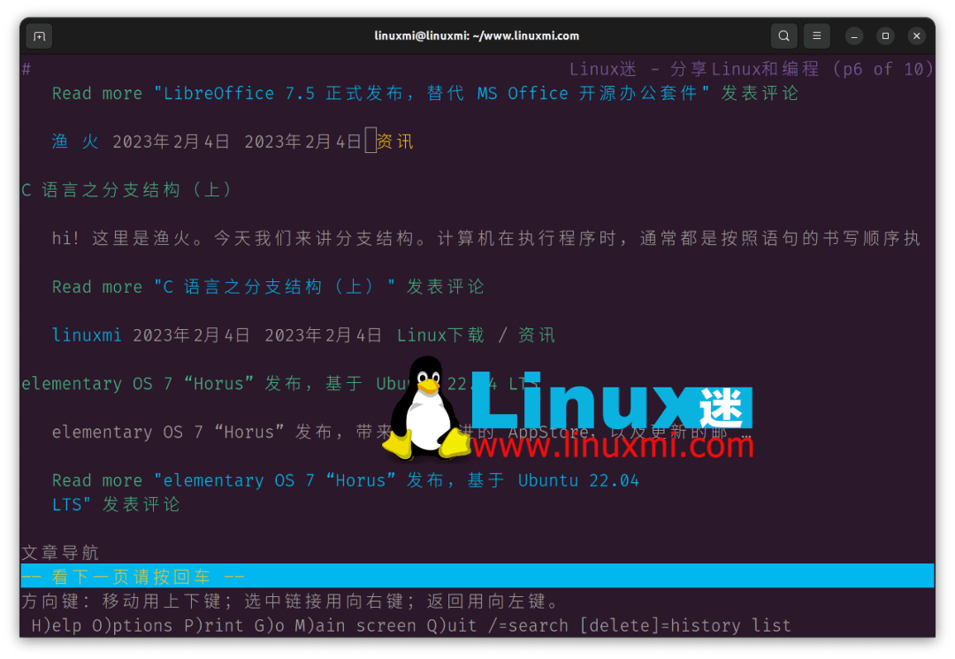奇技淫巧：在 Linux 终端中使用图形化 Web 浏览器_页面_运行_Docker