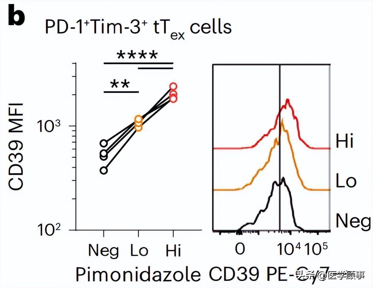 《自然·免疫学》：缺氧可以产生反派T细胞，产生免疫抑制效果_tTex_肿瘤_功能