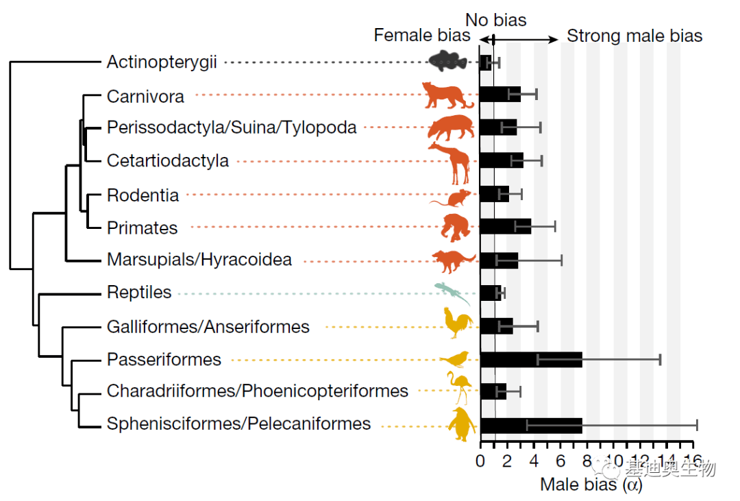 向高分大佬文章看齐：如何优雅绘制高阶进化树？_剪影_物种_虚线