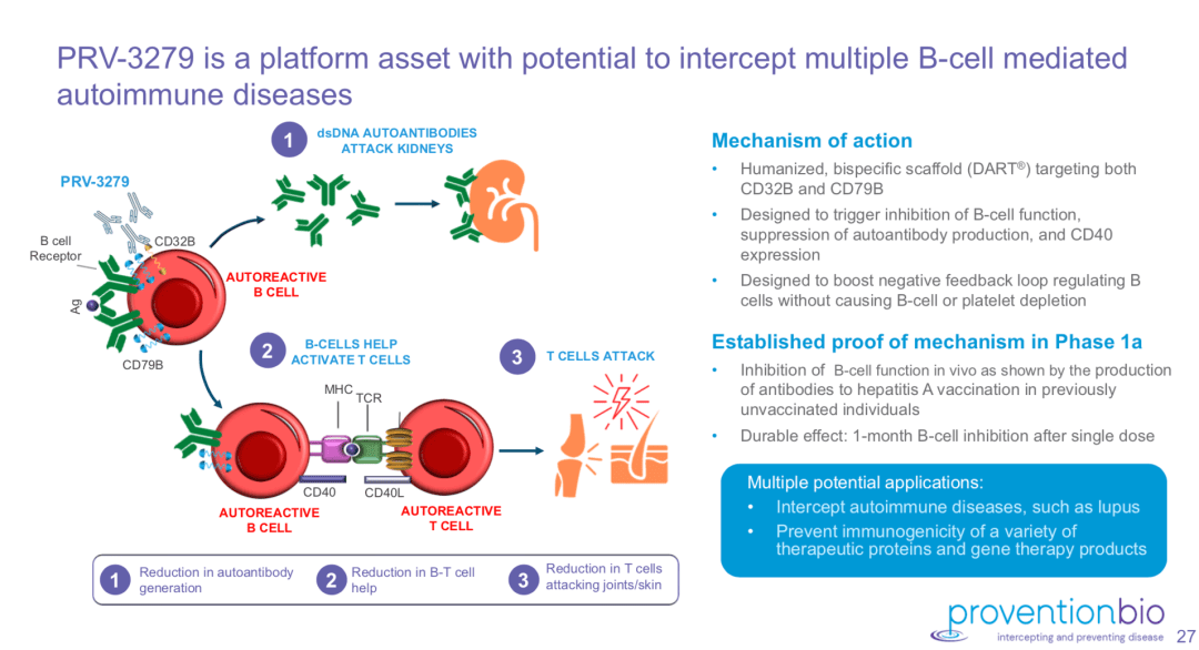 Provention Bio 管线梳理：赛诺菲 29 亿美元收购！合作华东医药、安进…坐拥全球首款 1 型糖尿病预防药物_细胞