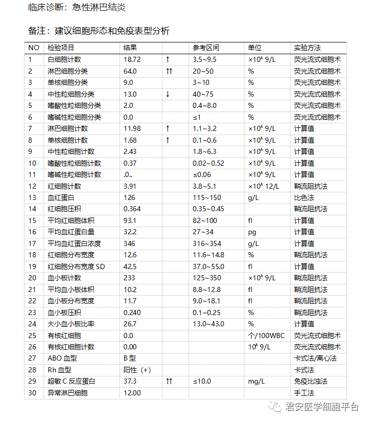 病例分享：早期前体原始T淋巴细胞白血病（ETP-ALL）_淋巴结_骨髓_染色