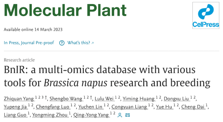 华中农大发布“油菜界的TAIR”— BnIR（油菜多组学数据库）_分析_整合_研究